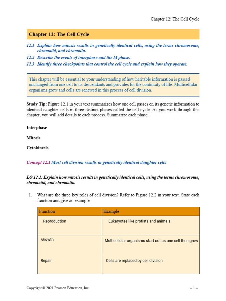 ARG CH 12 - The Cell Cycle | PDF | Mitosis | Cell Cycle