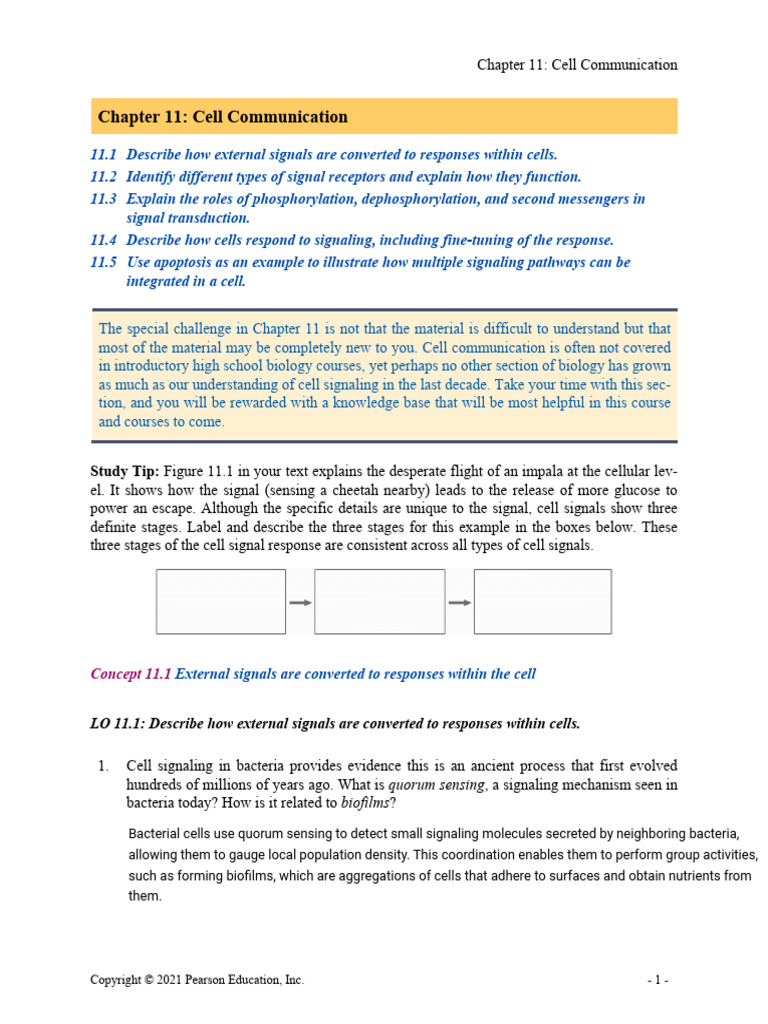 ARG CH 11 - Cell Communication | PDF | Cell Signaling | Signal Transduction