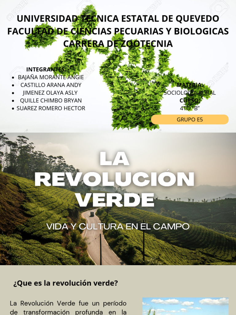 Impacto de la Revolución Verde en Ecuador | PDF | Agricultura ...