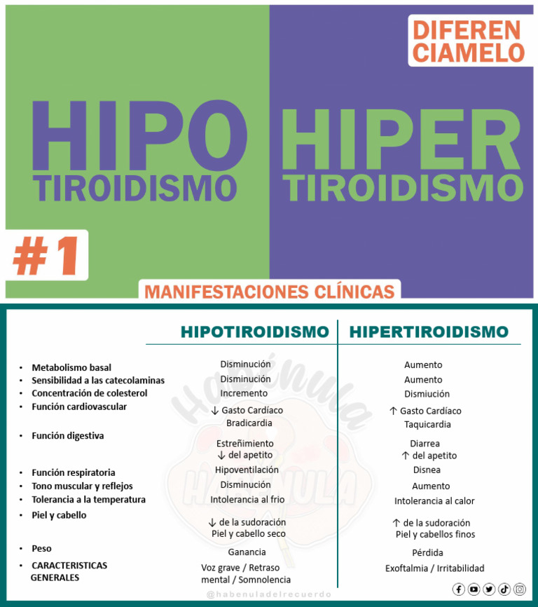 Diferencia Entre Hipo e Hiper | PDF