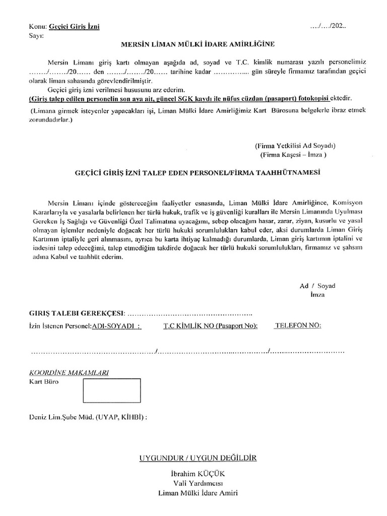 Gecici Giris İzin Formu 2024 | PDF