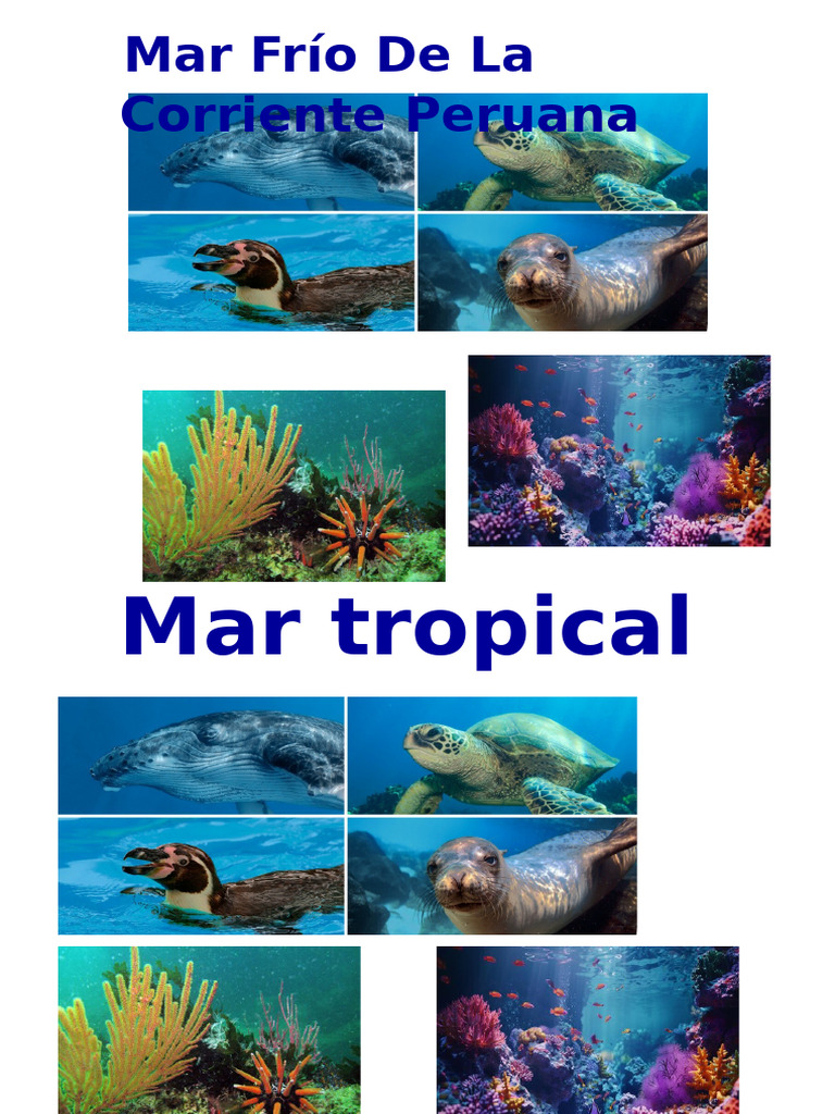Mar Frío de La Corriente Peruana | PDF