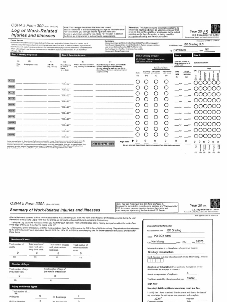 OSHA Form 300 2023 | PDF