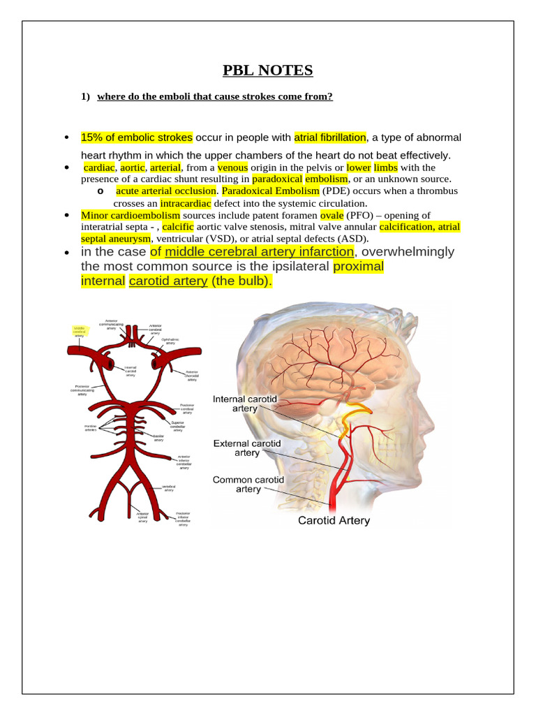 PBL NOTES blood | PDF | Diastole | Embolism