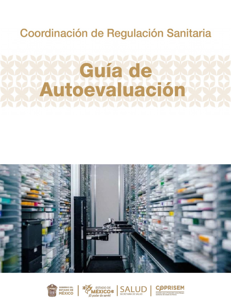 Guia de Auto Evalución Almacenes EDOMEX | PDF | Sistema de manejo de ...