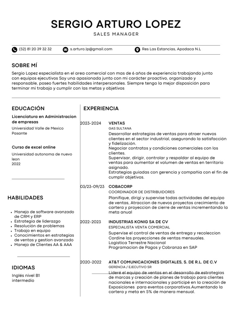 CV Sergio Arturo 2024 | PDF