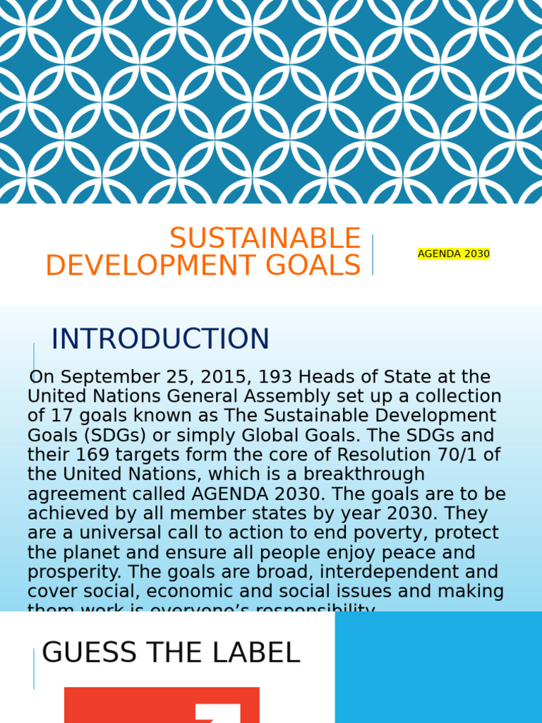 Sustainable Development Goals | PDF