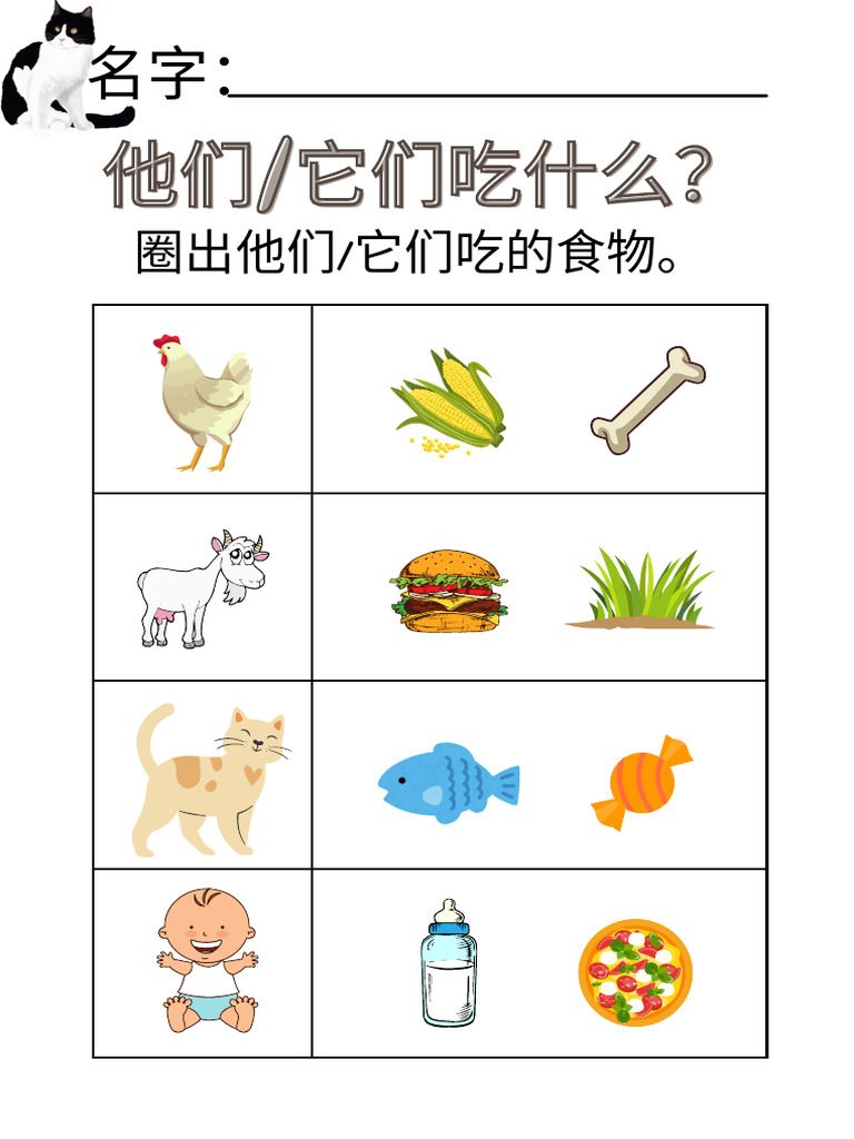 What Animals Eat Worksheet | PDF