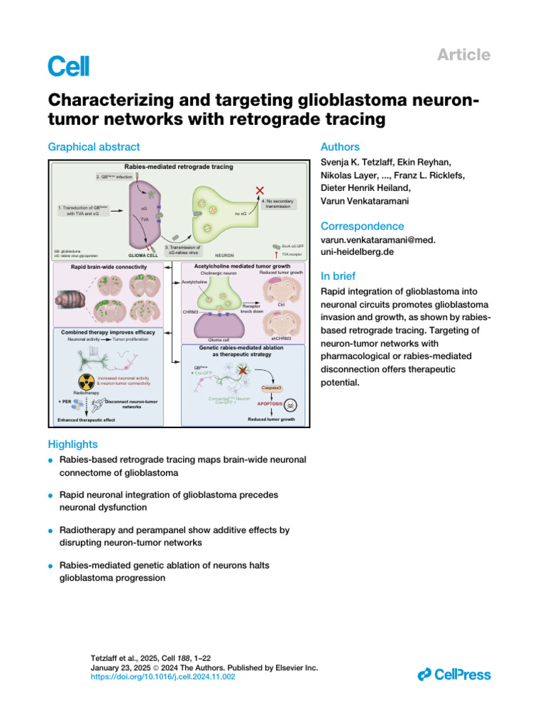 Characterizing and Targeting Glioblastoma Neuron-Tumor Networks With ...