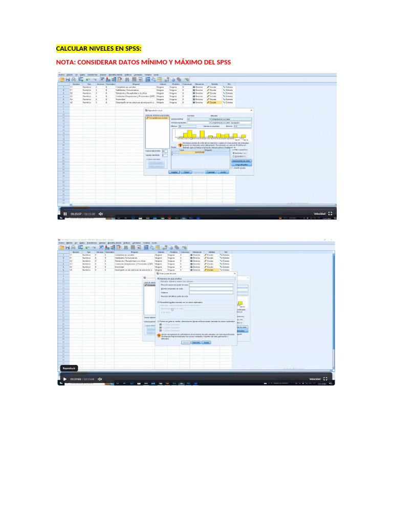 Calcular Niveles en SPSS - Usando Datos Del SPPS y Con Opción de Percentiles | PDF