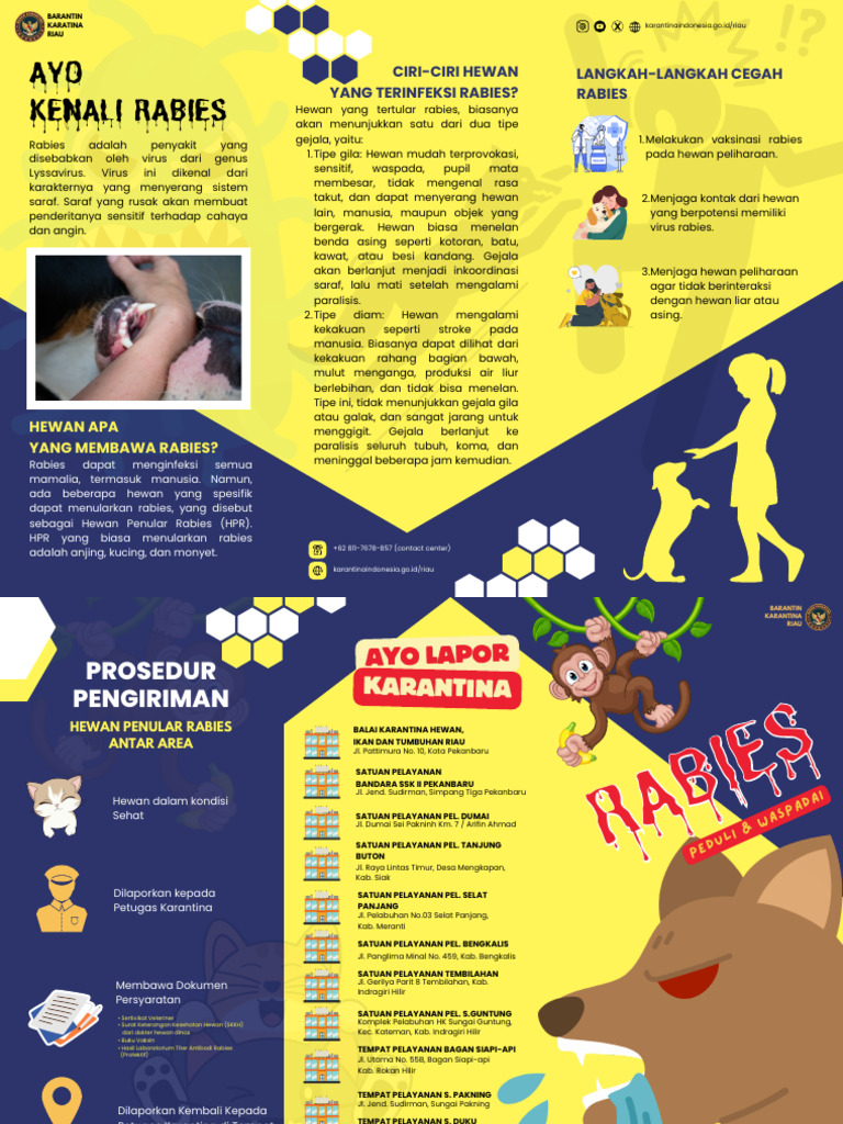 Leaflet Rabies | PDF