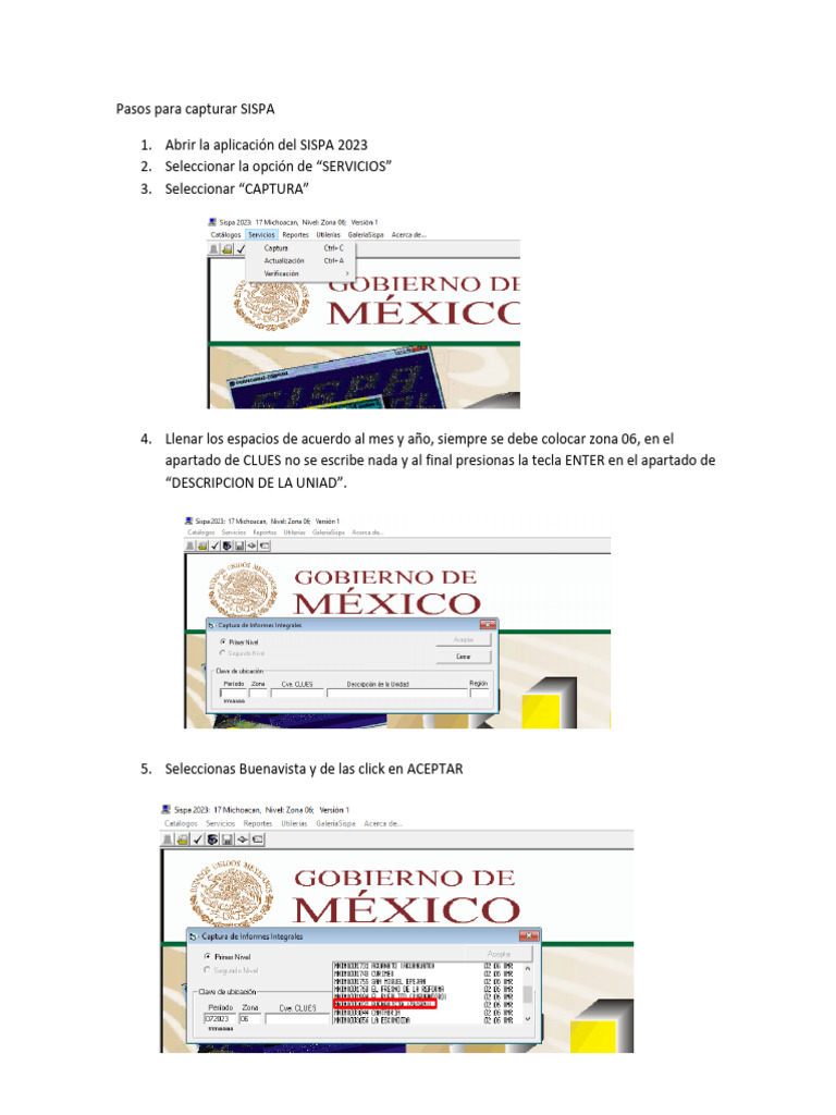 Pasos para Capturar SISPA | PDF