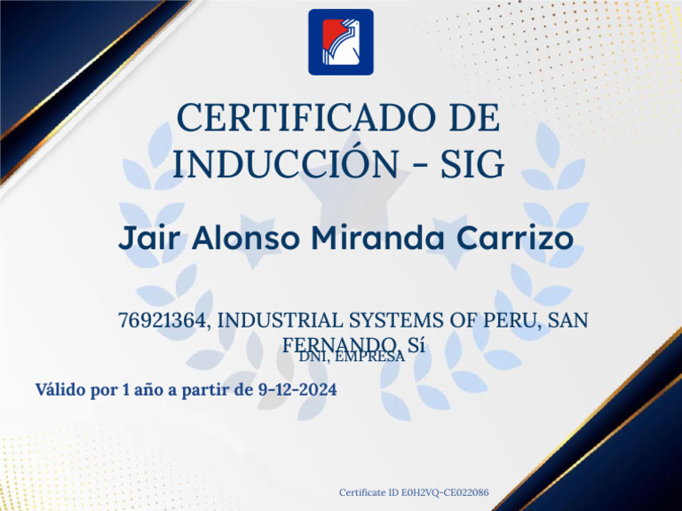 INDUCCIÓN - Jair Alonso Miranda Carrizo | PDF