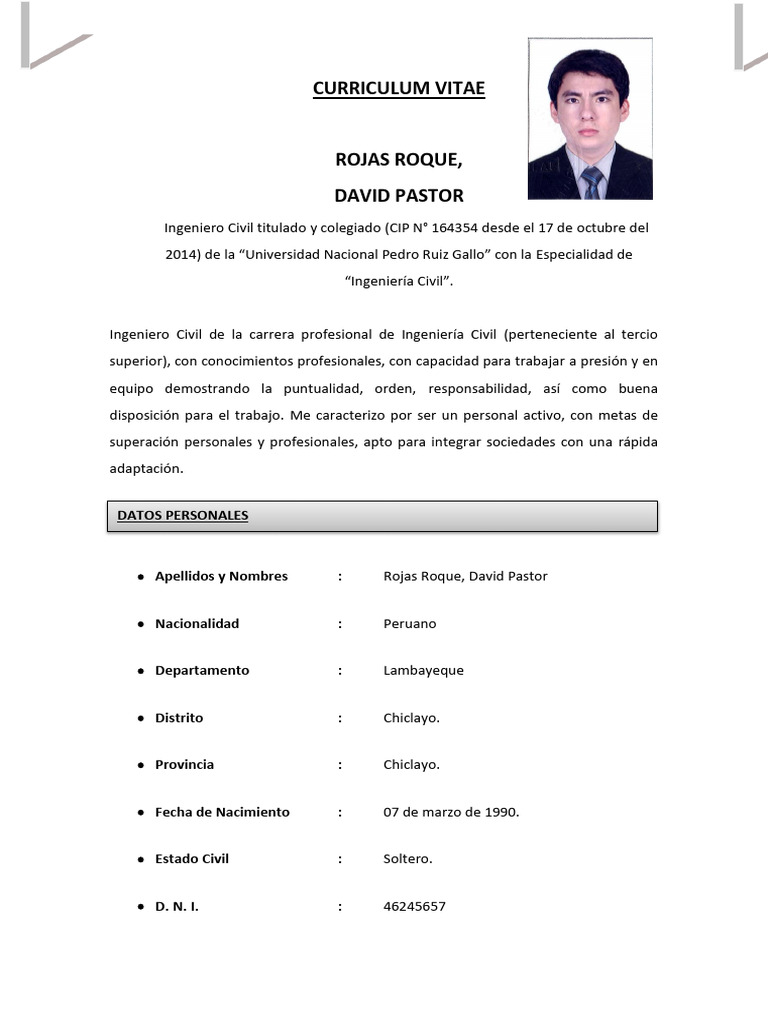 CV David Pastor Rojas Roque | PDF | Perú | Saneamiento