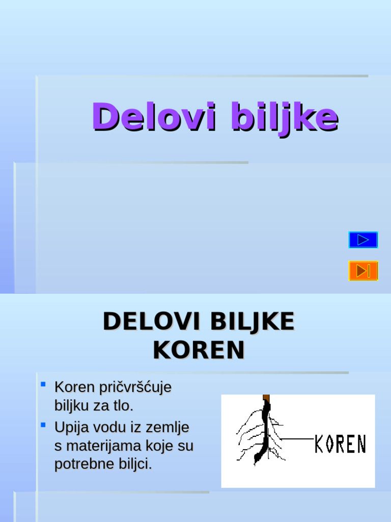 delovi-biljke | PDF
