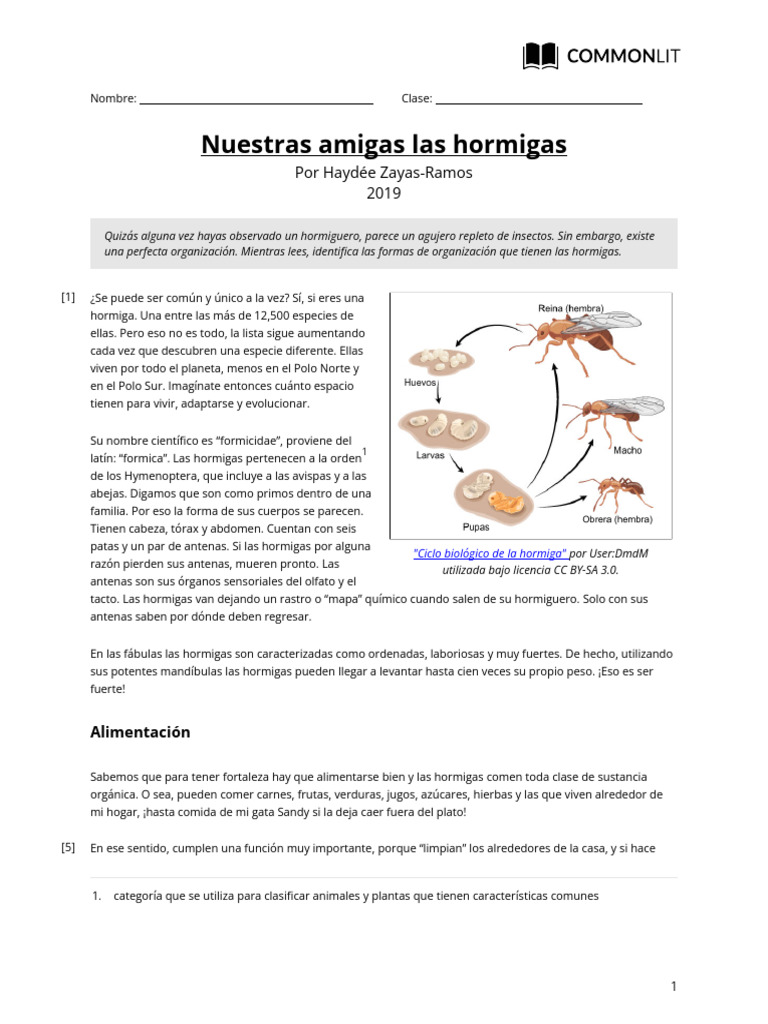 Ciclo Biológico y Organización de Hormigas | PDF | Hormiga | Insectos