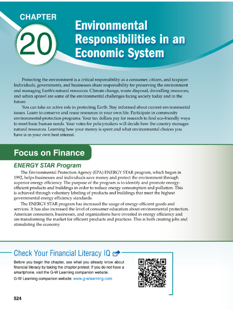 Chapter 20 - Enviromental Responsibilities | PDF
