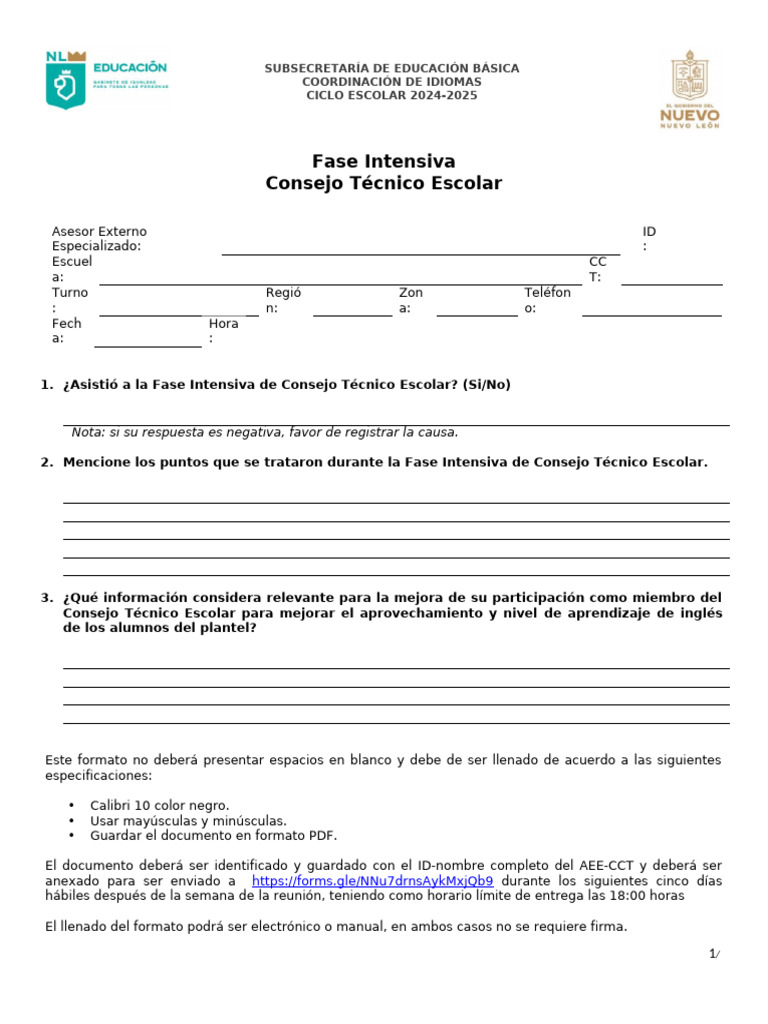 Formato Fase Intensiva de CTE 2024-2025 | PDF