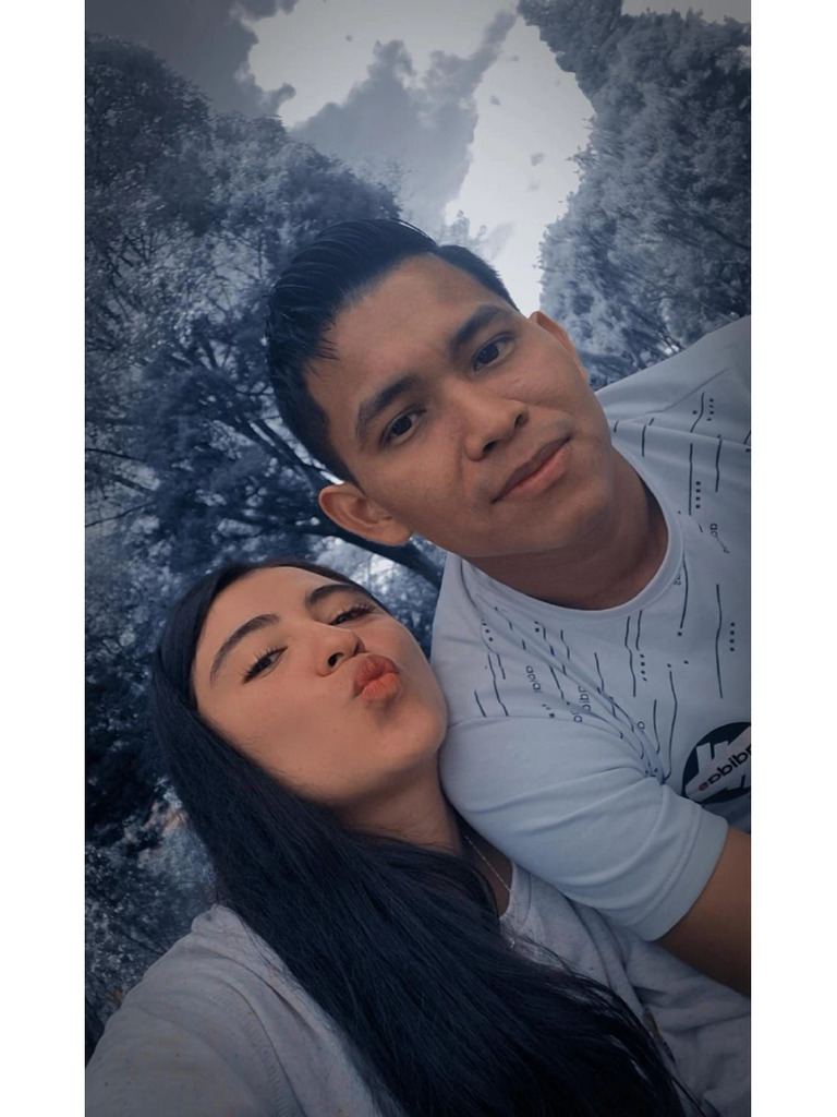 PDFReader_20241024_1307 | PDF