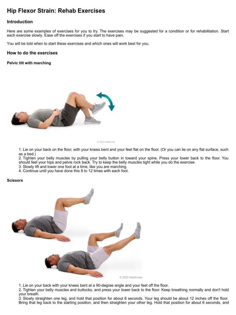 Hip Flexor Strain Rehab Exercises | PDF | Pelvis | Abdomen