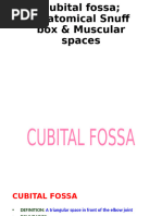 Triangularinterval Wikipedia 1745132625808 | PDF | Limbs (Anatomy ...