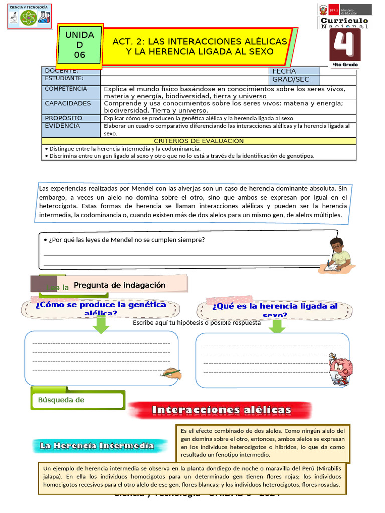 B-4º ACT 2-CYT-UND 6 | PDF | Alelo | Cigosidad
