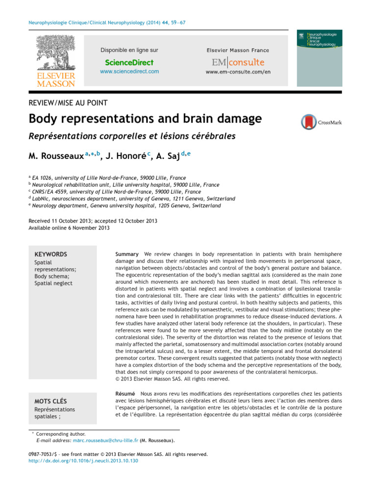 Body Representations and Brain Damage | PDF | Parietal Lobe | Frontal Lobe