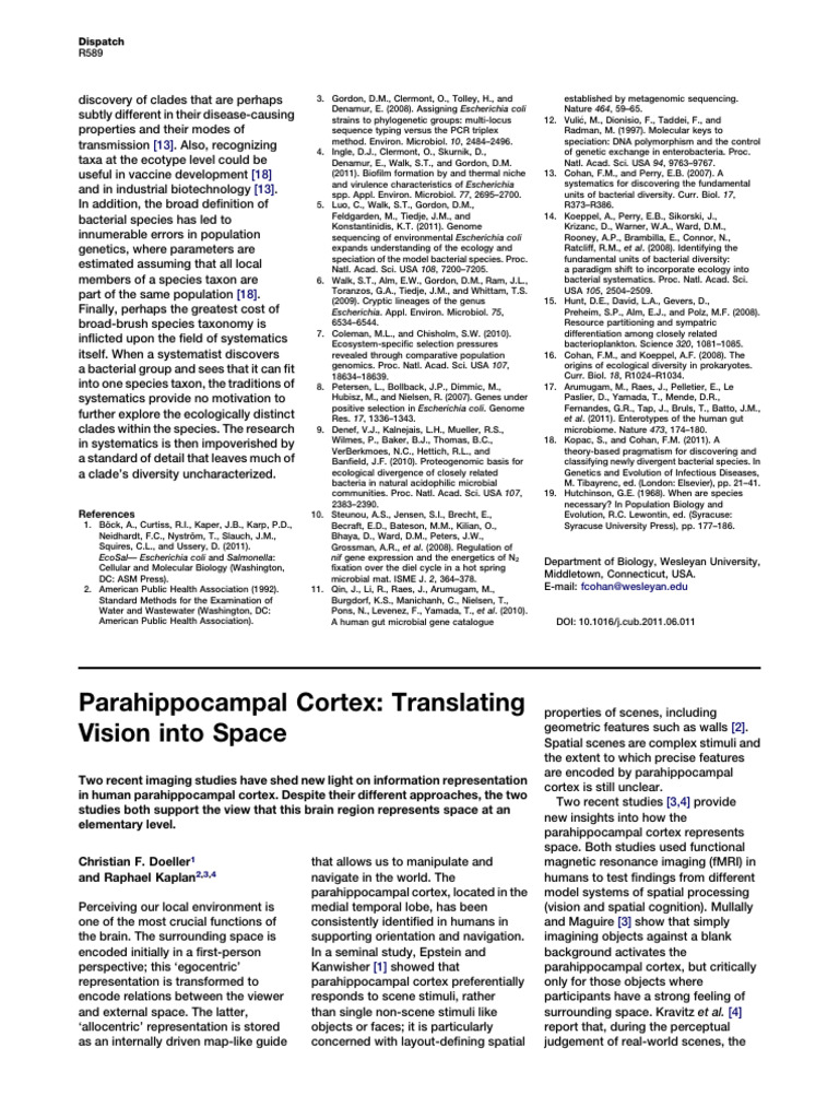 Parahippocampal Cortex Translating Vision Into Space | PDF ...