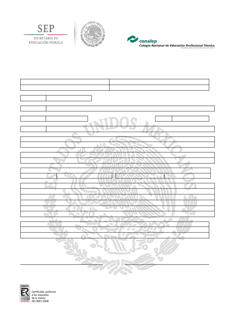 Formato de Informe de Actividades para Serv Social y Prac Profesionales Editable-2 | PDF