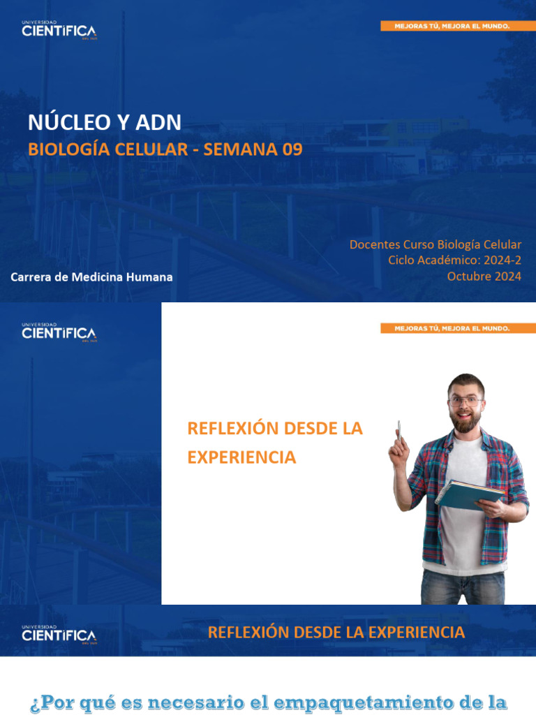 Semana 9 - Nucleo y ADN | PDF | Nucleo celular | Biología Celular)