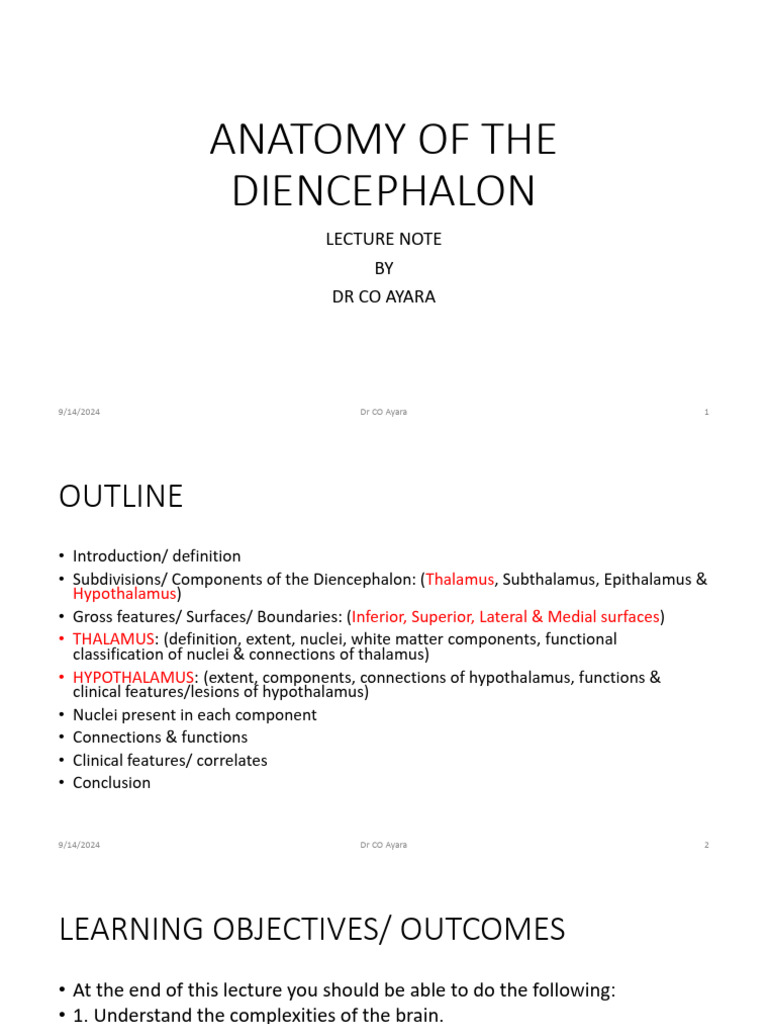 Anatomy of Diencephalon | PDF | Thalamus | Cerebral Cortex