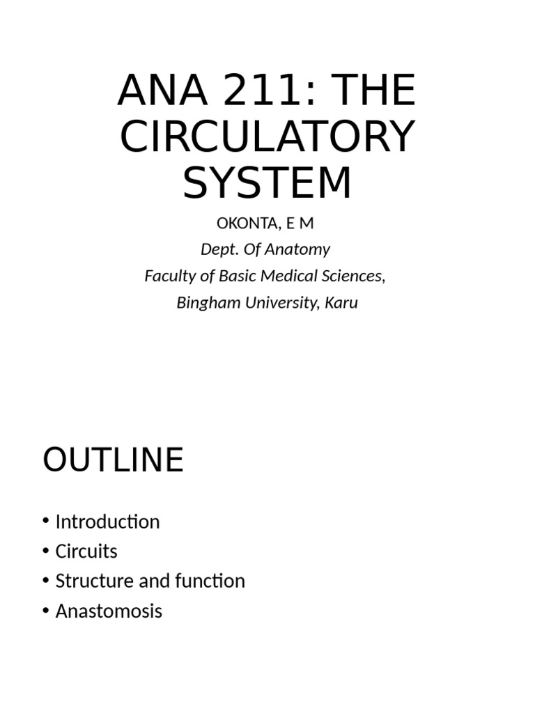 Ana 211 the Circulatory-wps Office | PDF | Lymphatic System | Heart