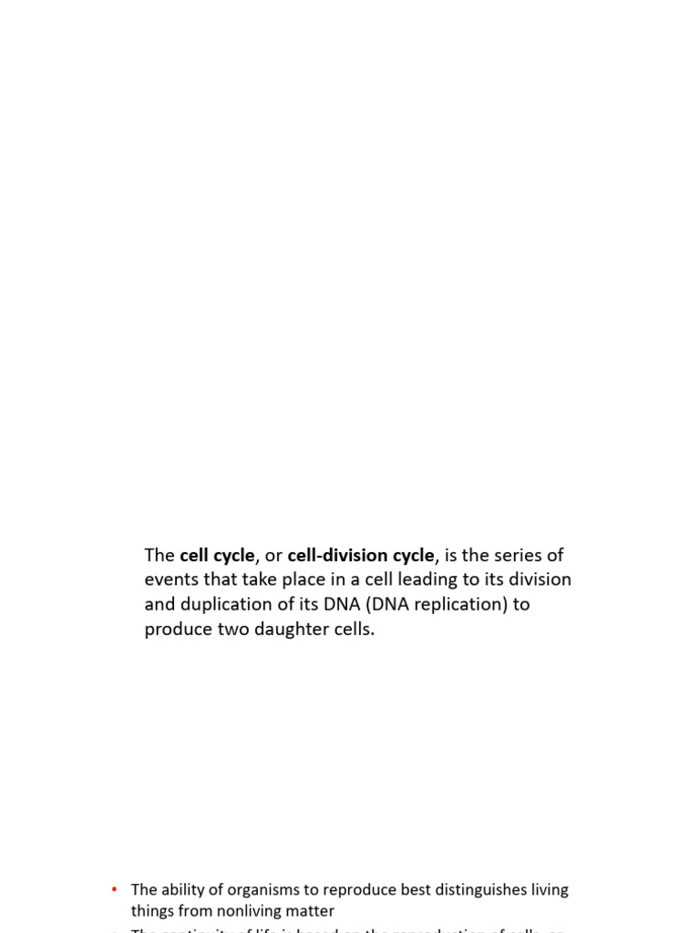 Lecture 3_Cell Cycle | PDF | Mitosis | Chromosome