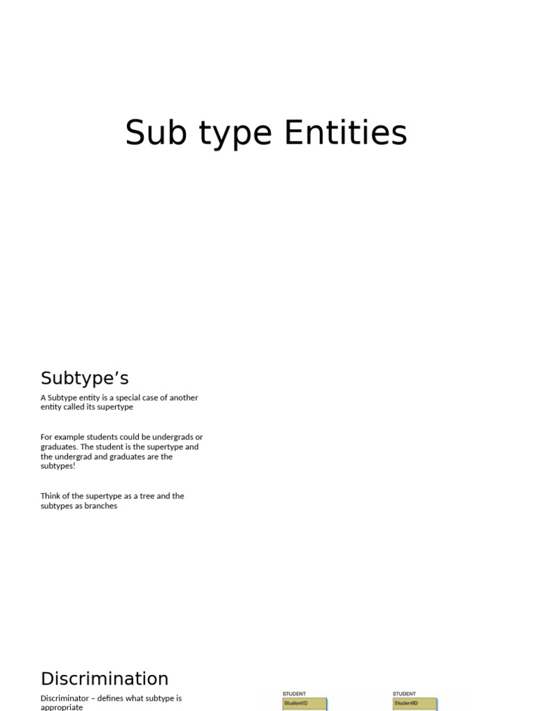 Sub Type Entities | PDF
