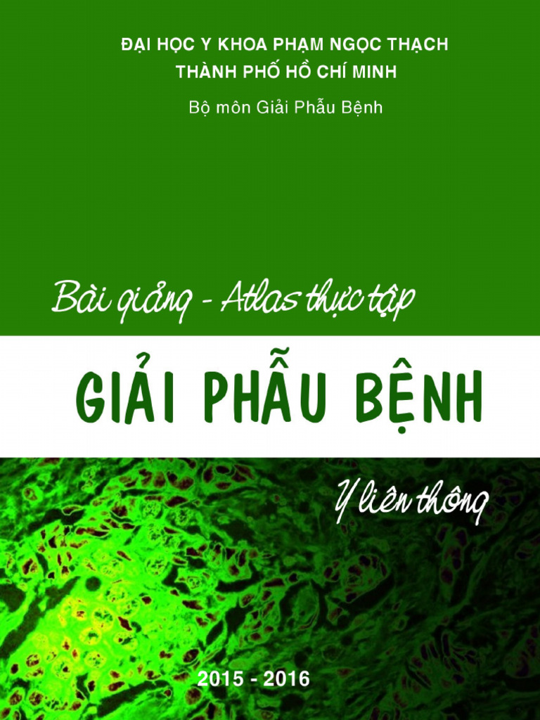 Y_LIEN_THONG_THUC_TAP_GPB_2016 | PDF