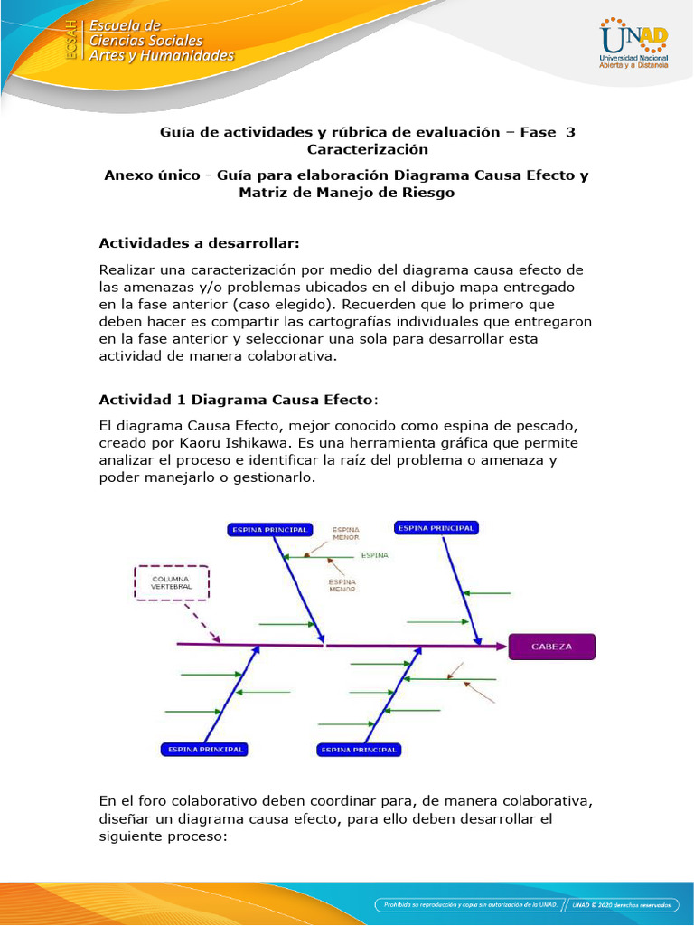 Anexo Único - Guía para Elaboración Diagrama Causa Efecto y Matriz de Manejo | PDF