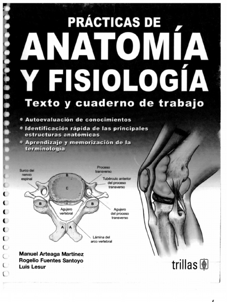 Anatomia Completo Pdf