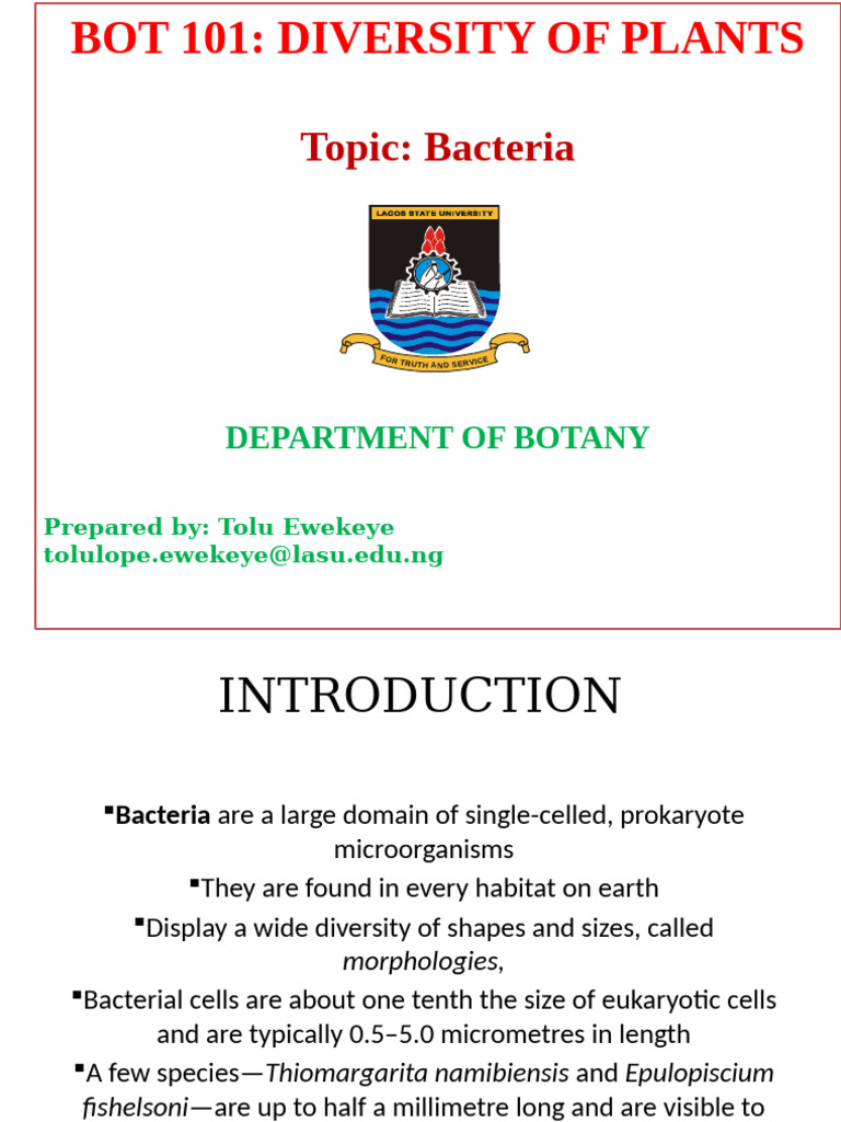 Bot 101 Bacteria | PDF | Bacteria | Microbiology