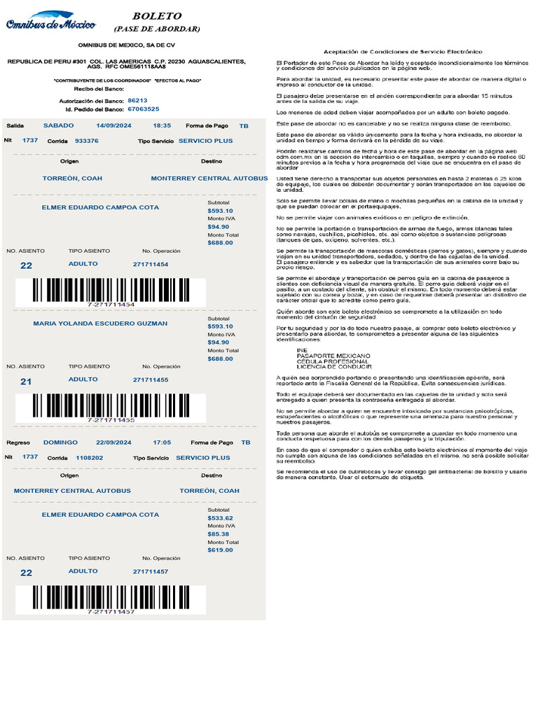 Pase de Abordar | PDF