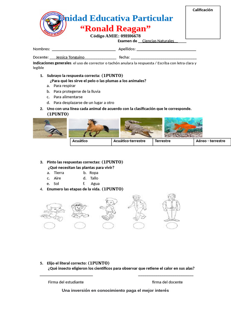 2do Examen de CCNN 1T | PDF