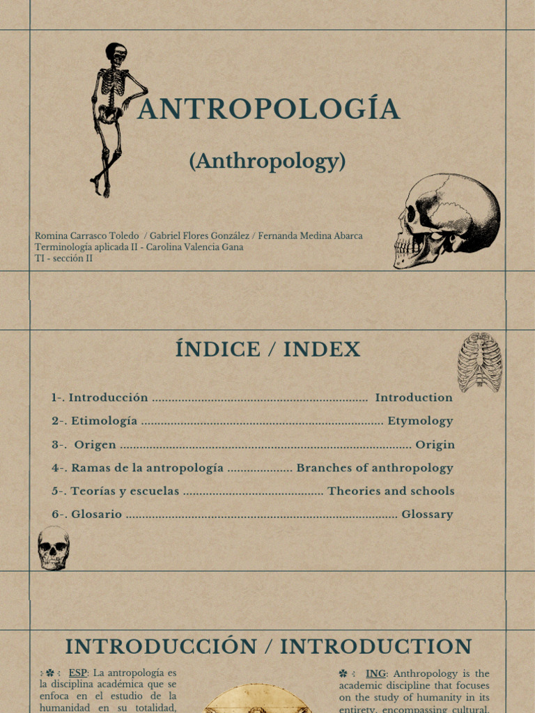 Grupo 3 Antropologกa Carrasco Flores Medina | PDF | Antropología ...