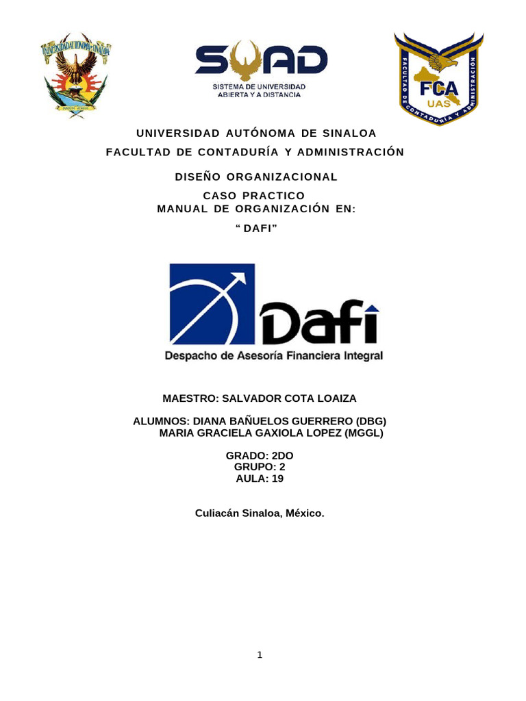 Manual Organizacional DAFI | PDF | Business | Economias