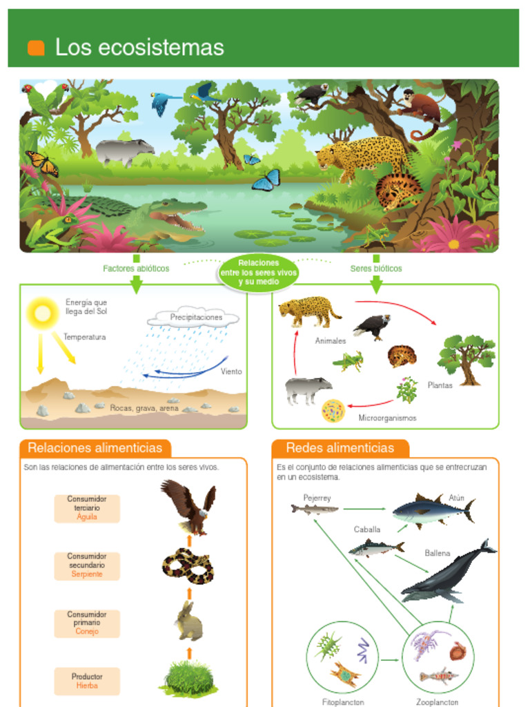 LAMPDF01 U06 CT4 Op | PDF