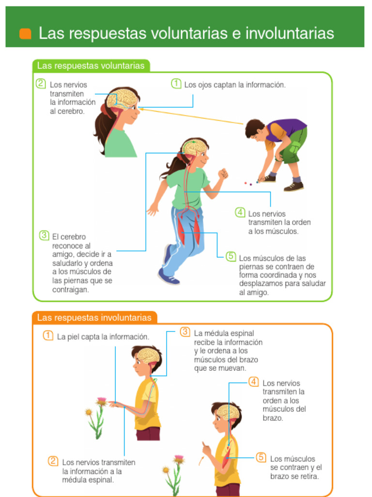 LAMPDF02 U01 CT4 Op | PDF