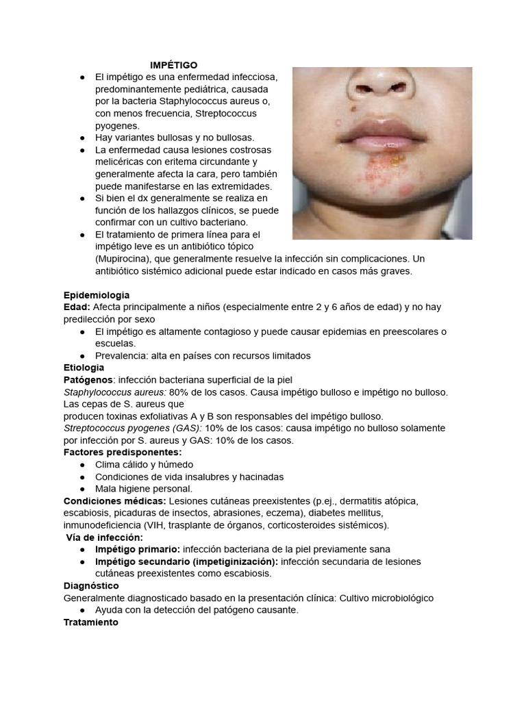 Impetigo | PDF | Especialidades Medicas | Enfermedades y trastornos