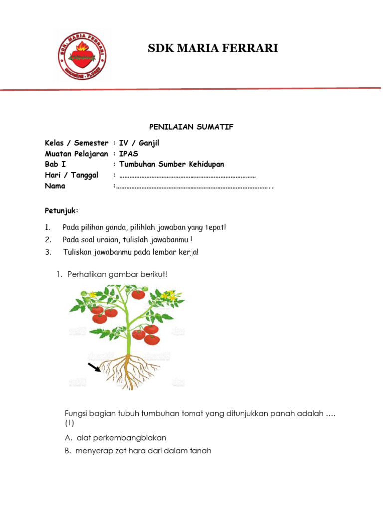 Sumatif IPAS | PDF