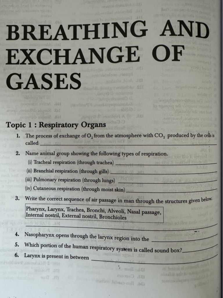 Respiratory System Assignment | PDF