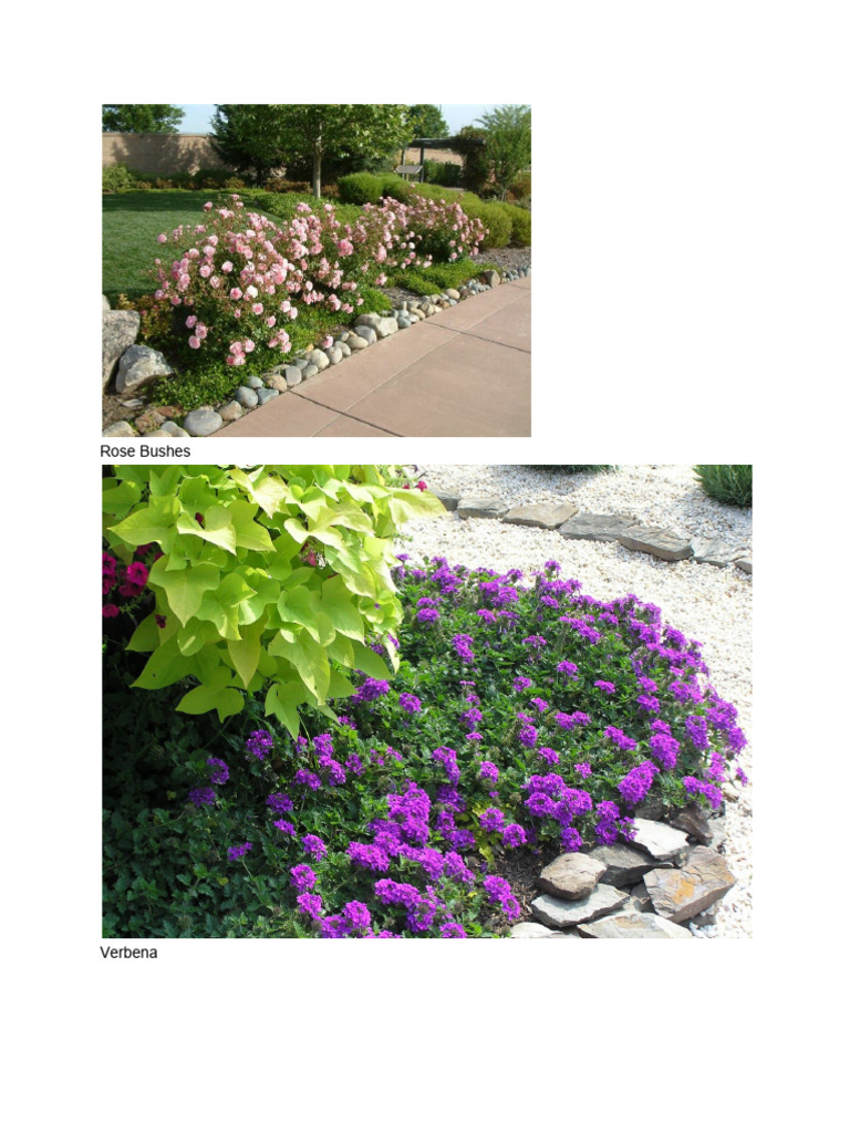 Planting Board | PDF