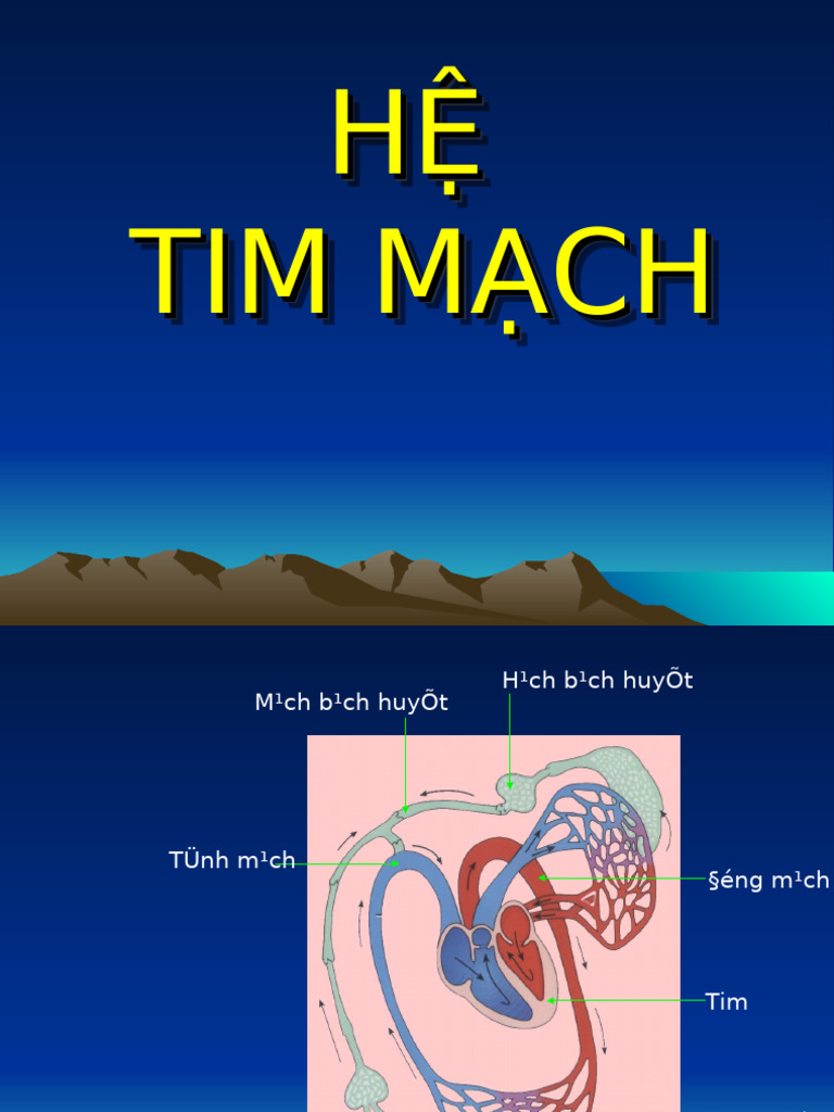 He Tim Mach | PDF