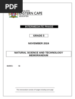 Grade 4 NST Term 4 Exam Paper | PDF | Sound | Physical Sciences